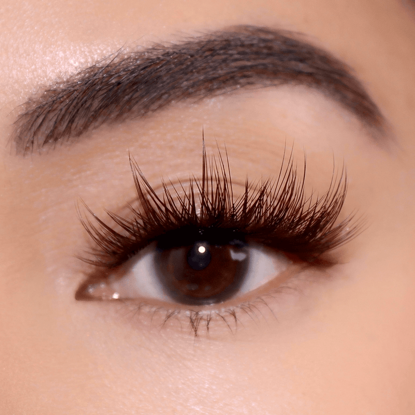 Chocolate Star Vol. 1 Bundle