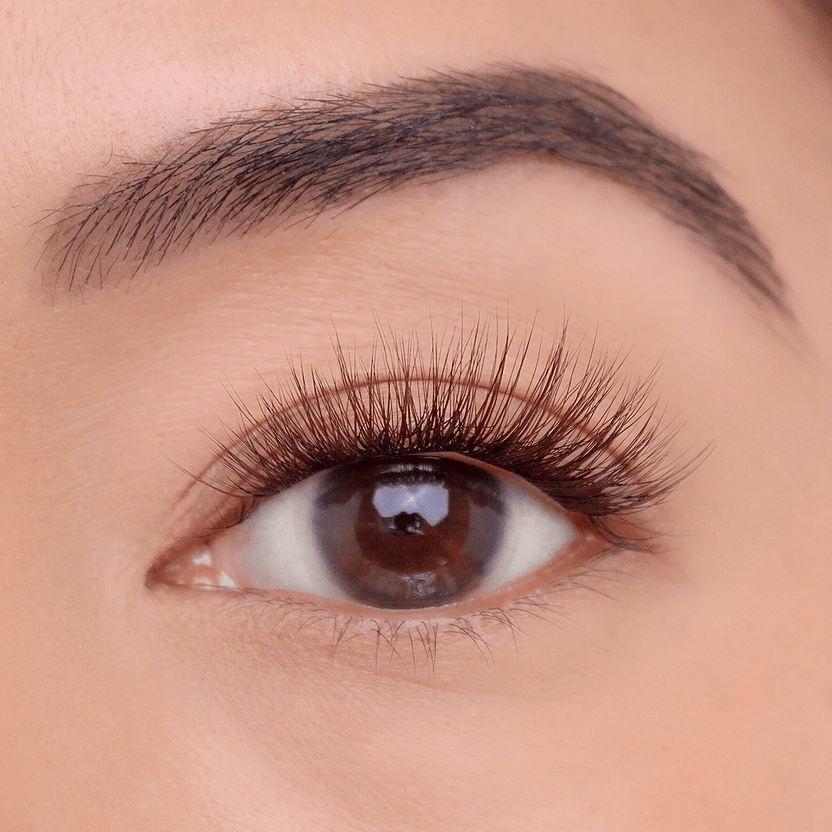 Cocoa Cloud Vol. 1 Bundle