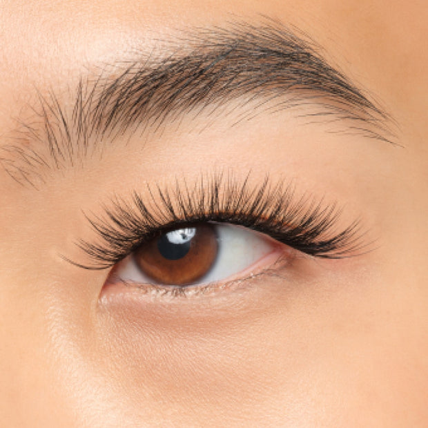 Plushy Collection – Lashify