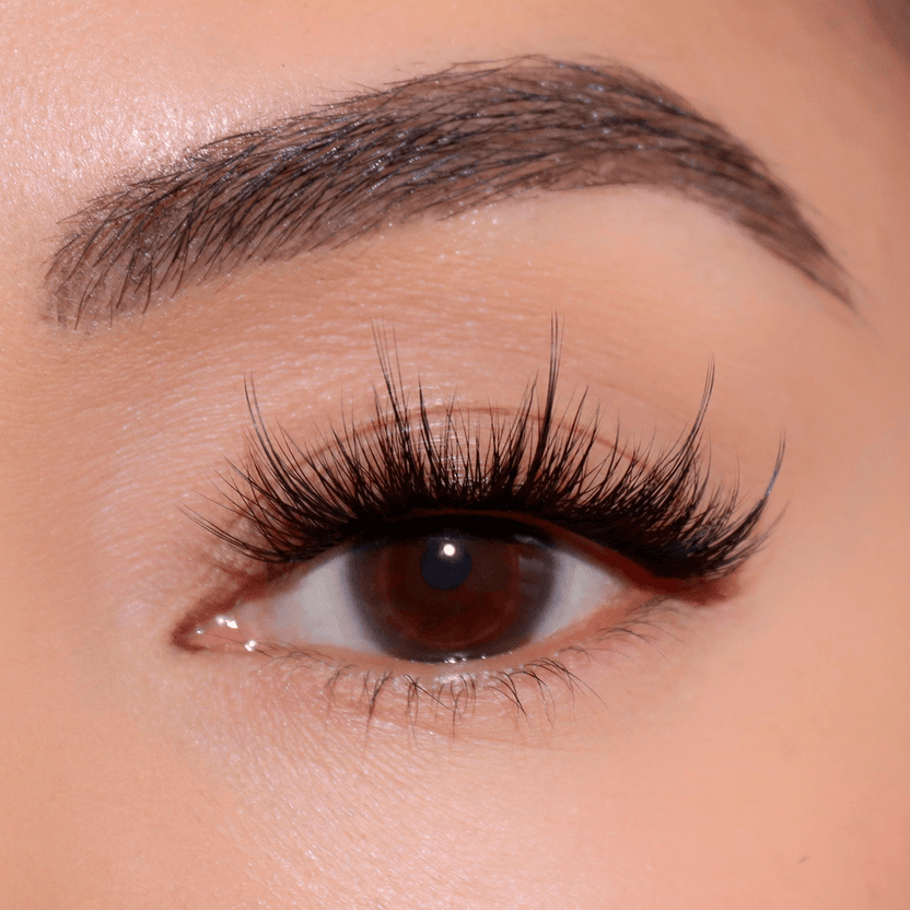 Plushy Whispers Vol. 1 Bundle