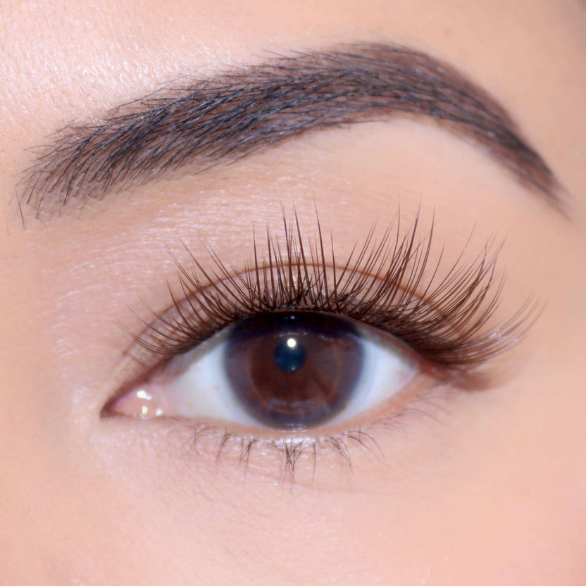 See You Tu-nite Vol. 1 Bundle